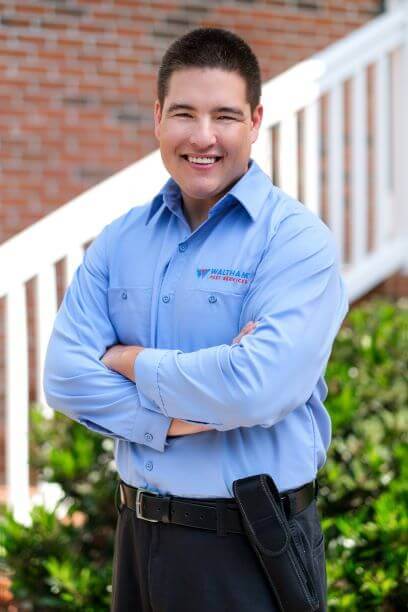 Wood Destroying Insect Report | What Is a WDIR? | Waltham Pest Services