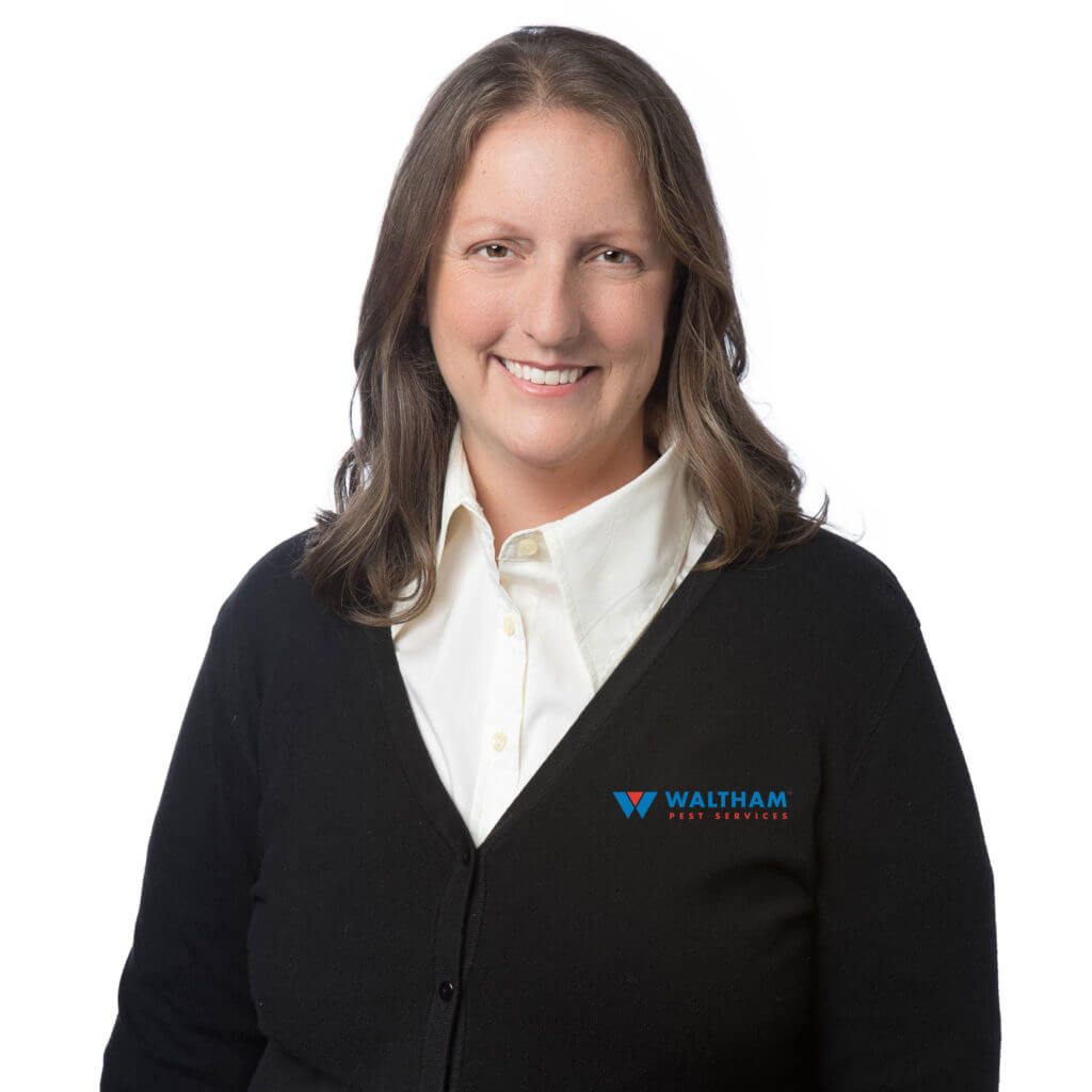 Are Bed Bugs Being Affected by Quarantine? - Waltham Pest Services