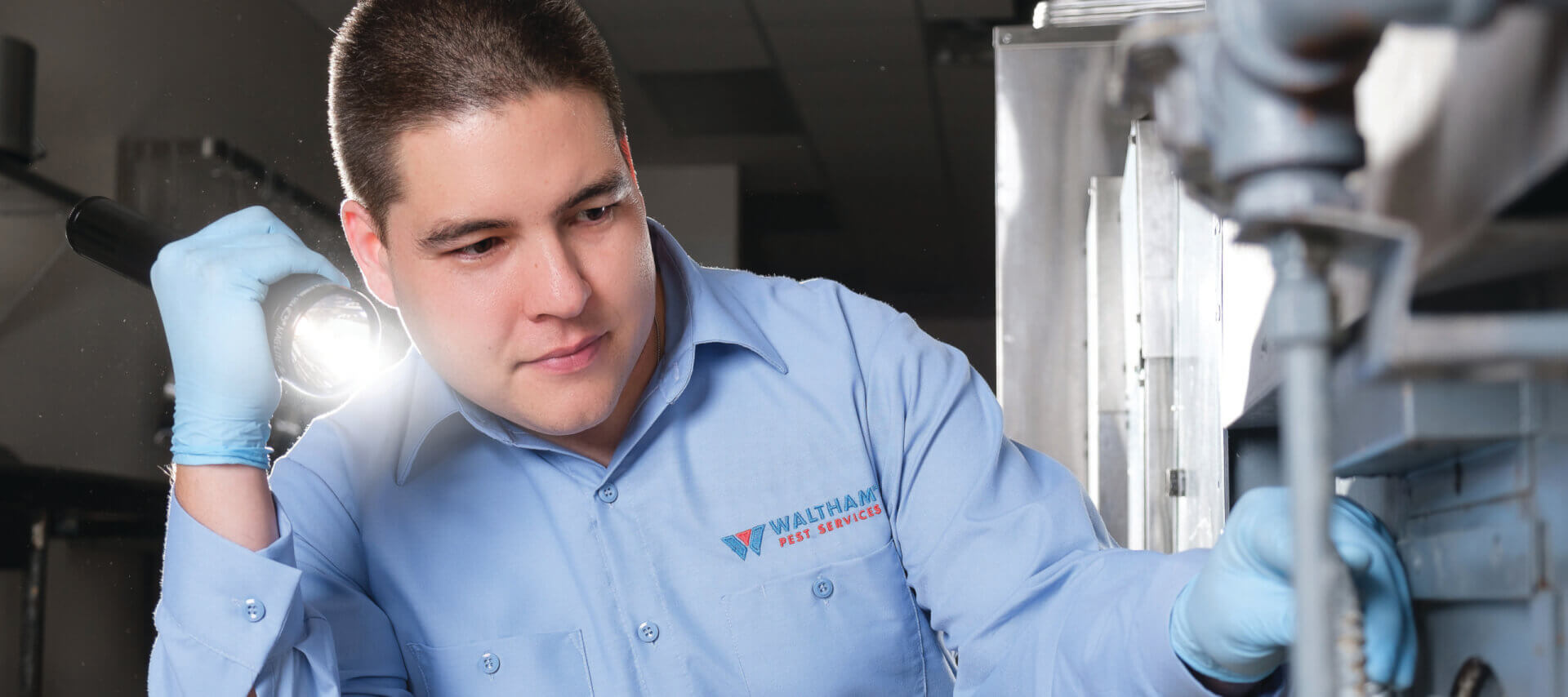 Choosing Pest Control for Your Business – 5 Things to Know - Waltham ...