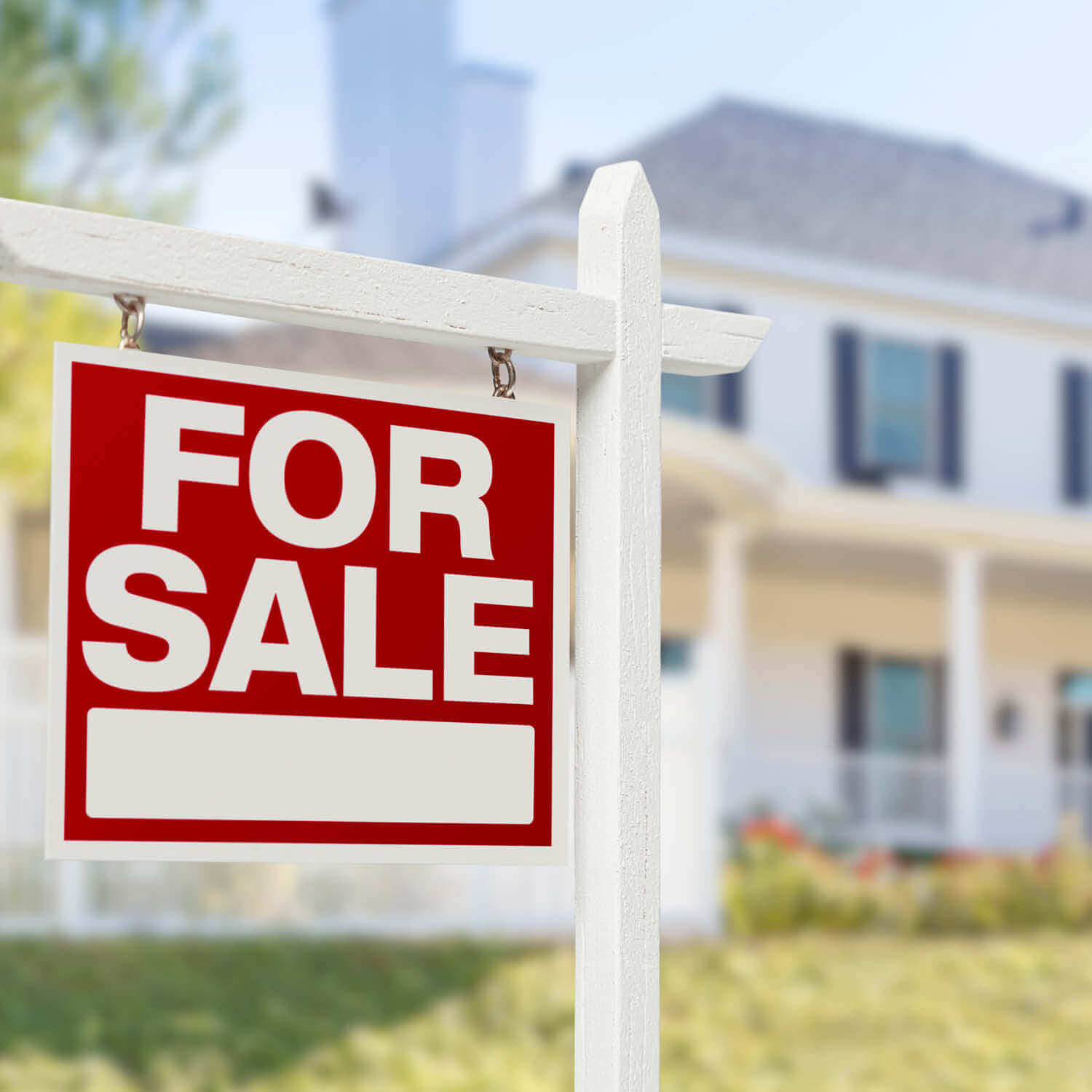 Do Home Buyers Need a WDIR? - Waltham Pest Services