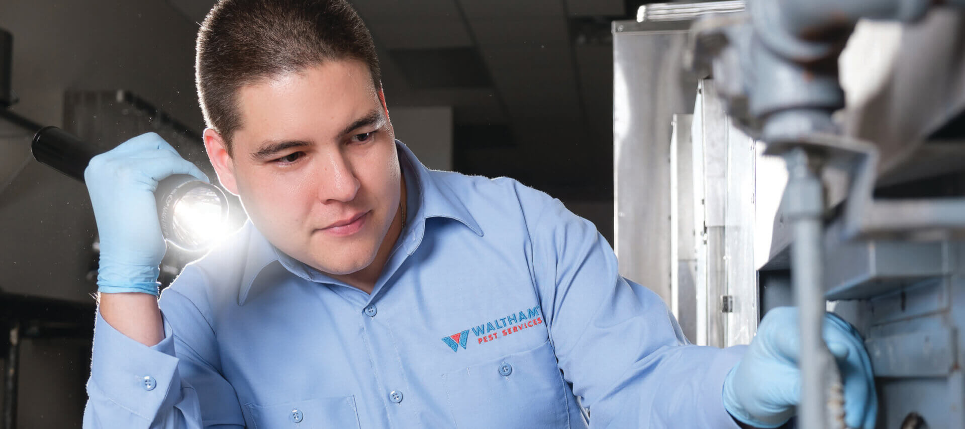 Pest Control Is Essential Service during Quarantine | Waltham