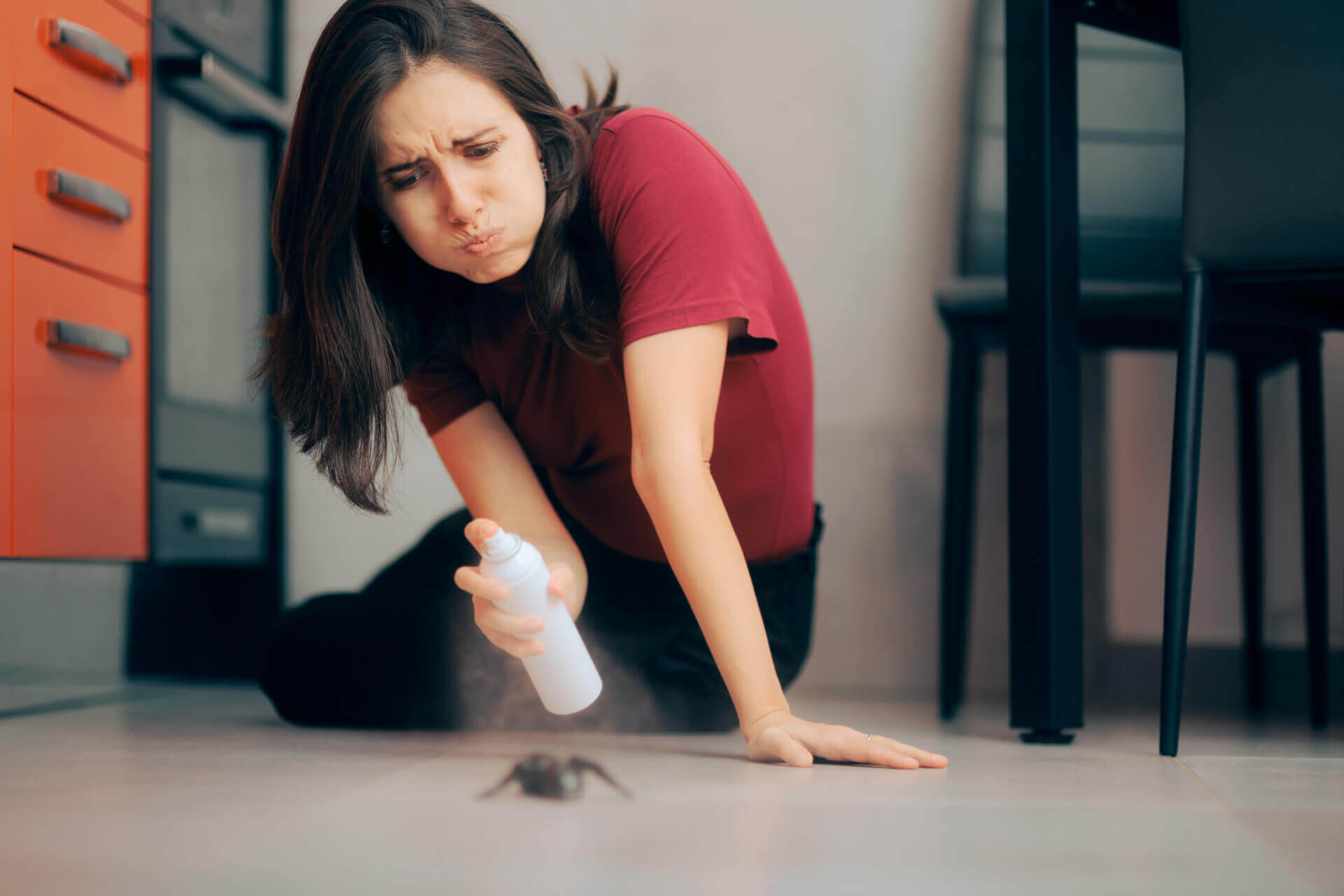 Why Pest Control at Your Home - Waltham Pest Services